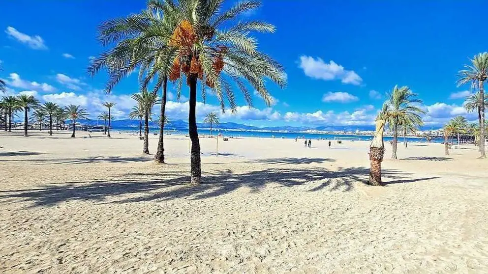 Las 16 playas de Llucmajor mantienen la certificación ISO 14001:2015 de ...
